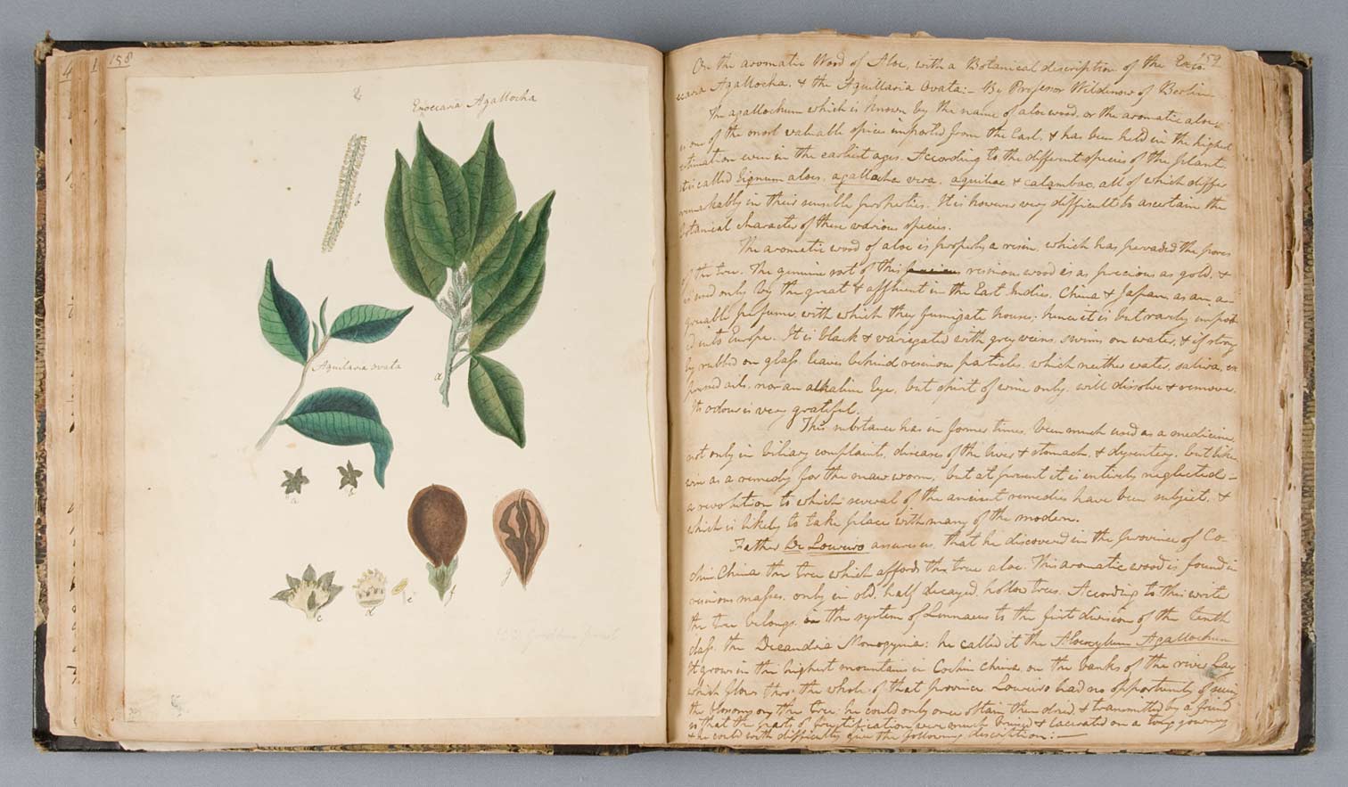Books, Manuscripts and Archival Documents - Historic Deerfield